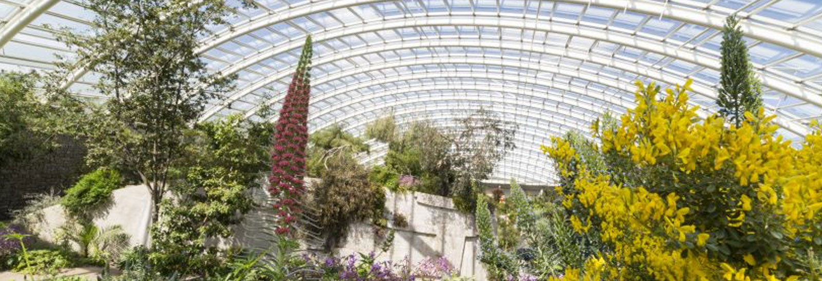 National Botanic Garden of Wales - Our Home Online : Our Home Online
