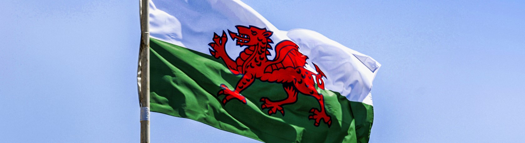 Welsh businesses reap the benefits of .wales and .cymru websites - Our ...